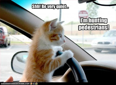 A pedestrian rant: Can we all be more careful drivers and walkers, please?