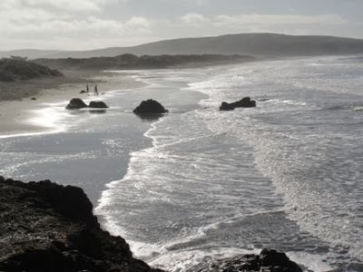 Glorious December days at Dillon Beach